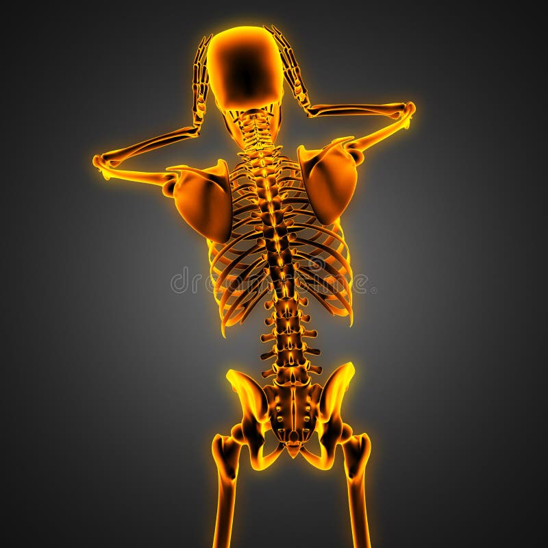 Glowing Bones Stock Illustrations – 2,497 Glowing Bones Stock ...