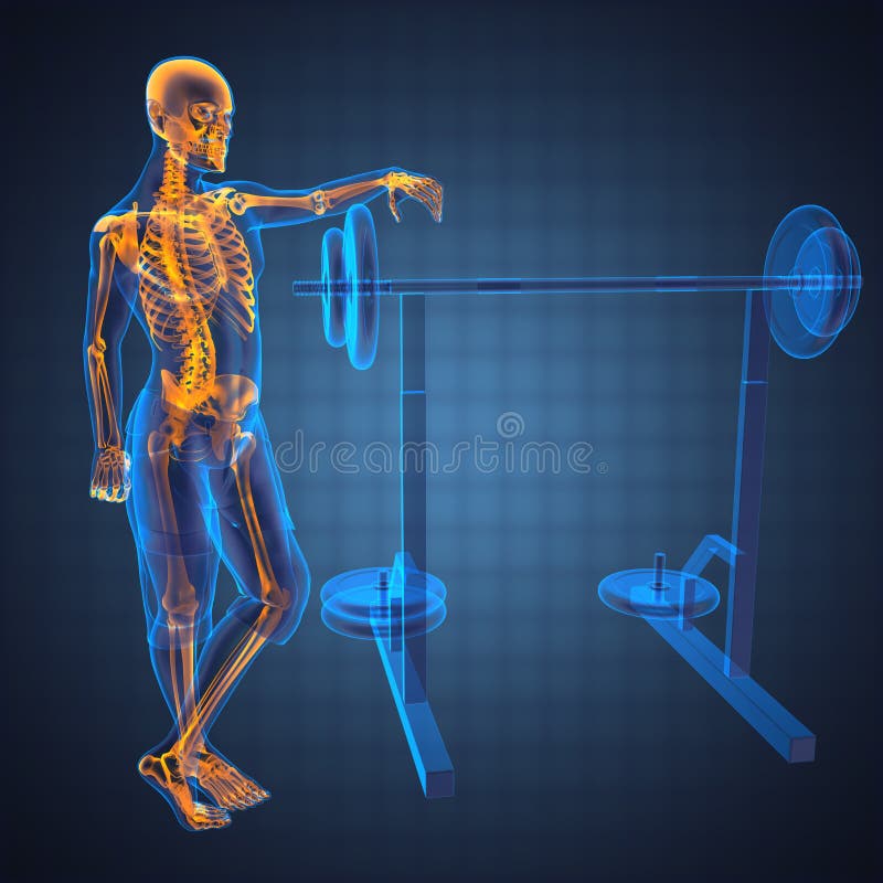 Human Radiography Scan in Gym Room Stock Illustration - Illustration of ...