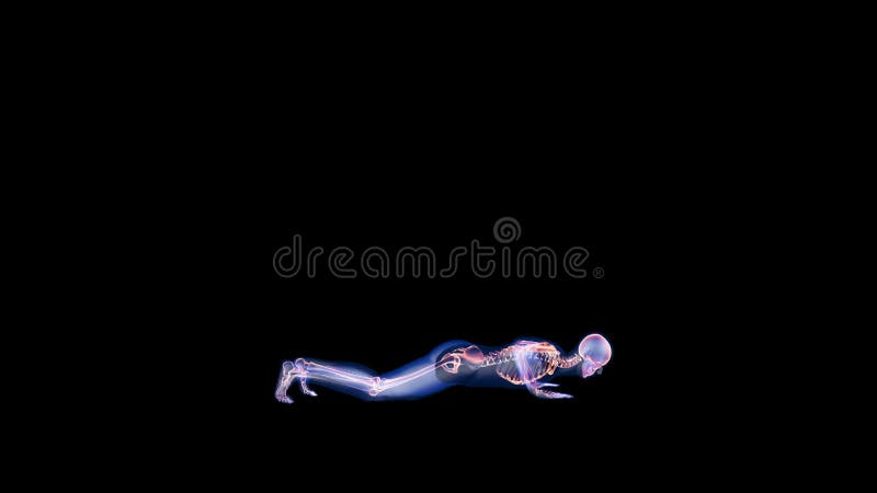 Human X-ray Body and Skeleton, Push Up Loop, Alpha Channel Stock Video ...