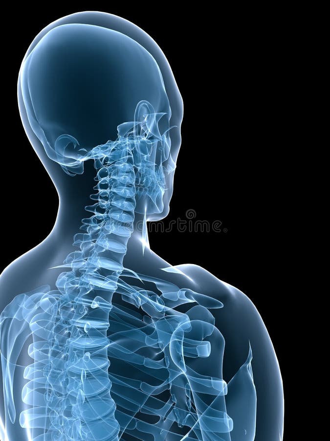Human Spine x ray stock illustration. Illustration of biology - 9723957