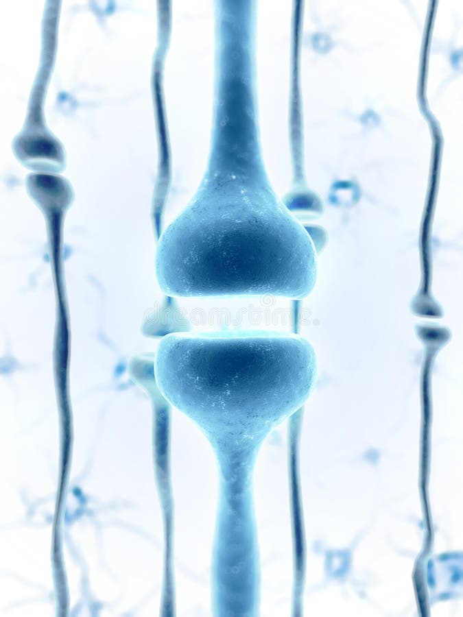 Human receptor stock illustration. Illustration of nervous - 30724674