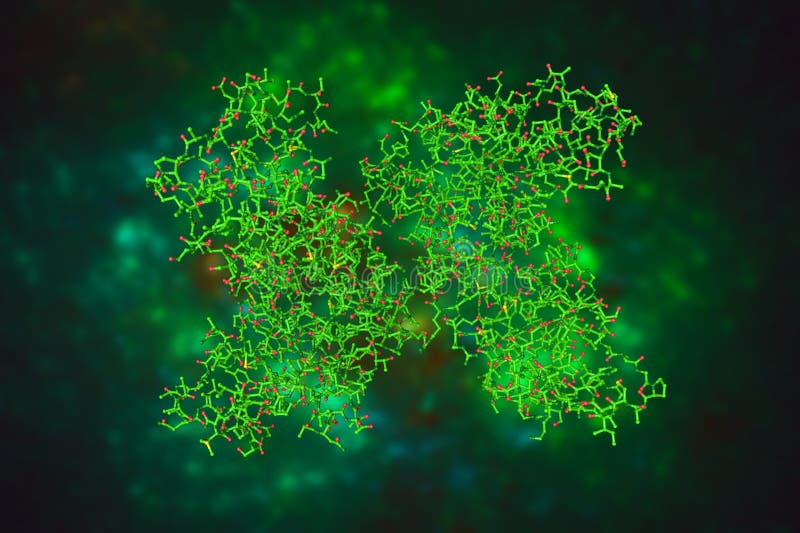 Human Receptor-interacting Protein Kinase 1 Domain in Complex with a ... Human Receptor-interacting Protein Kinase 1 Domain in Complex with a ...