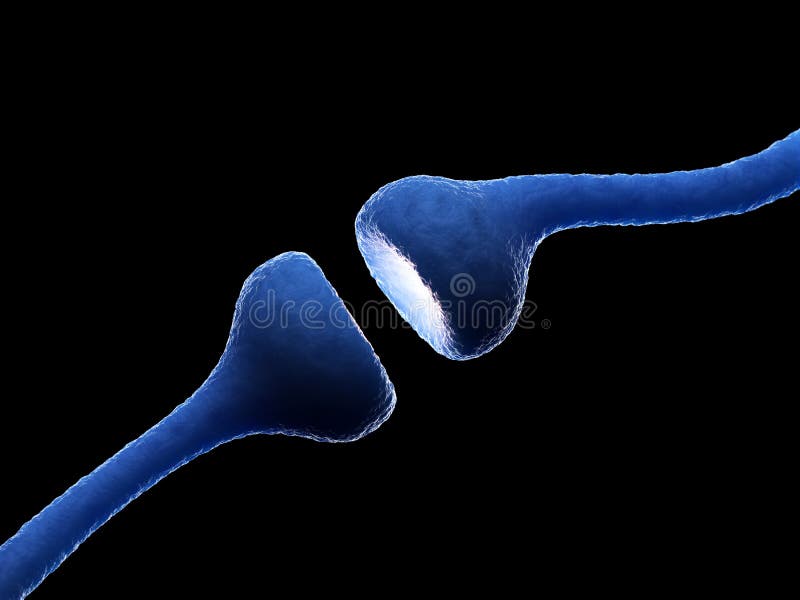 Human receptors stock image. Image of receptor, brain - 127855283