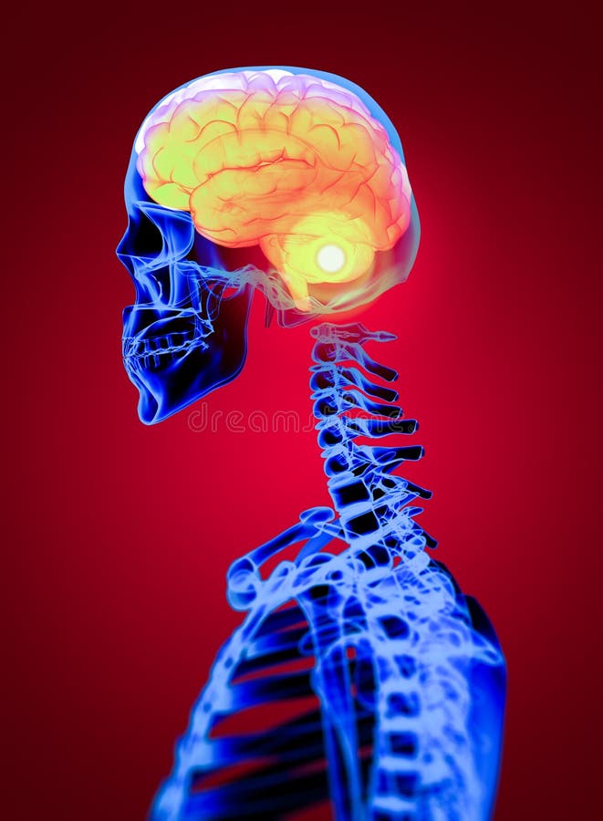 3D Rendering Illustration of Brain Stock Illustration - Illustration of ...