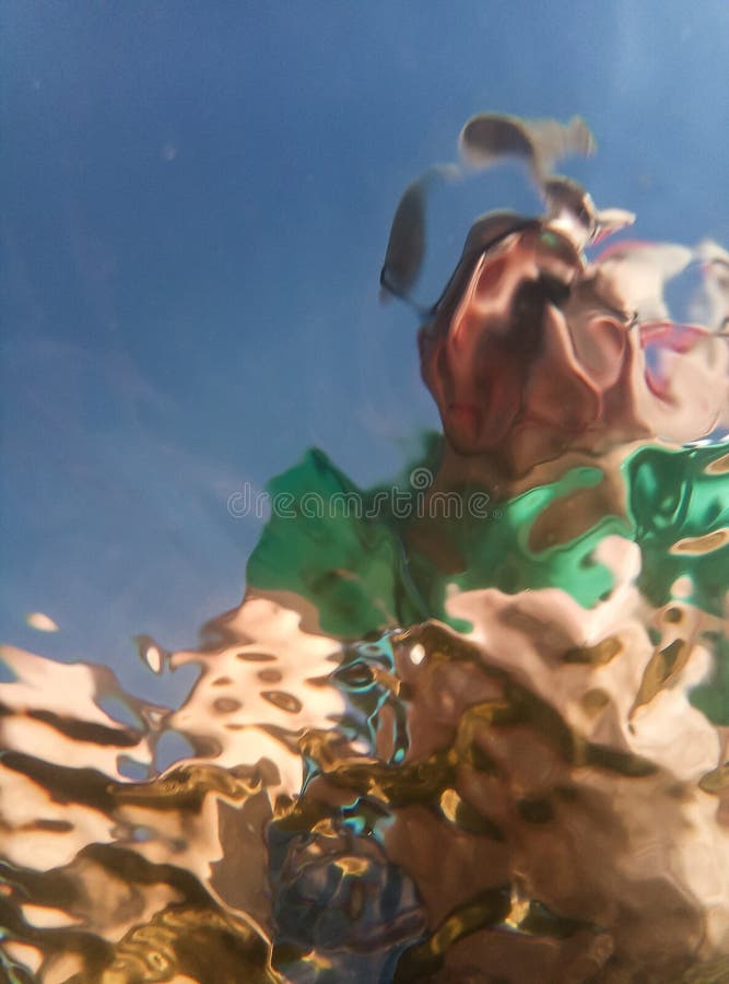 Human Reflection in Water, Latvia Stock Image - Image of water ...