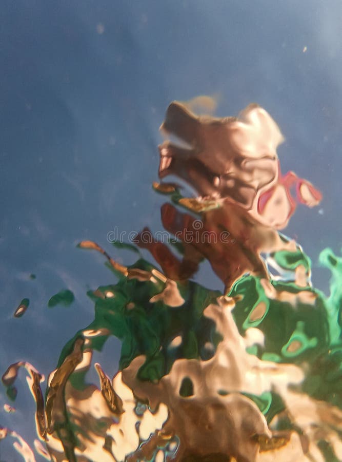 Human Reflection in Water, Latvia Stock Image - Image of bright ...