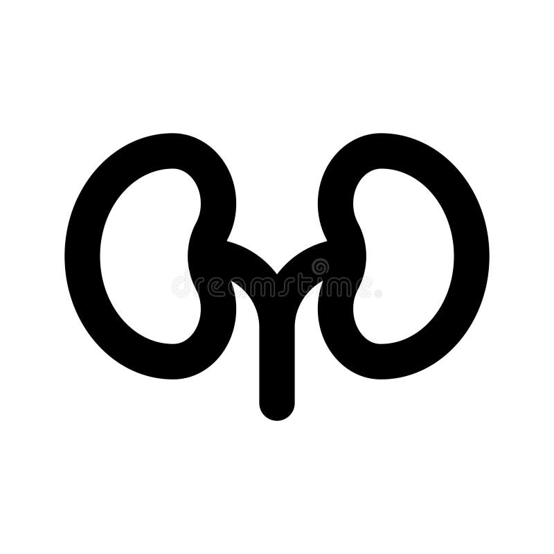 Human Renal System Organ, Human Organ, Icon of Kidneys Stock Vector ...