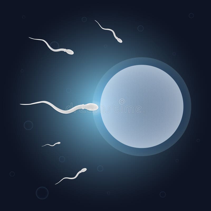 Human Reproduction Concept Design Stock Illustration - Illustration of ...
