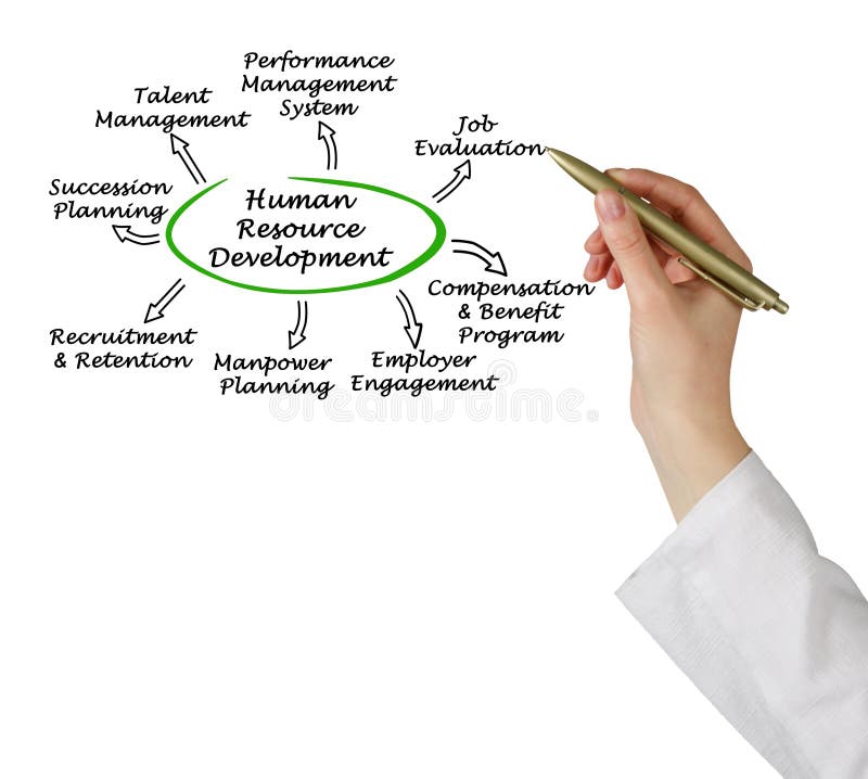 Human Resource Development stock image. Image of engagement - 115461319
