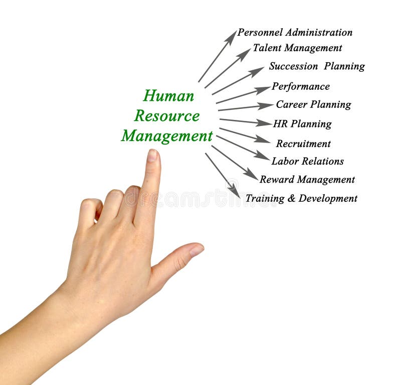 Human Resource Management stock photo. Image of manager - 85671616