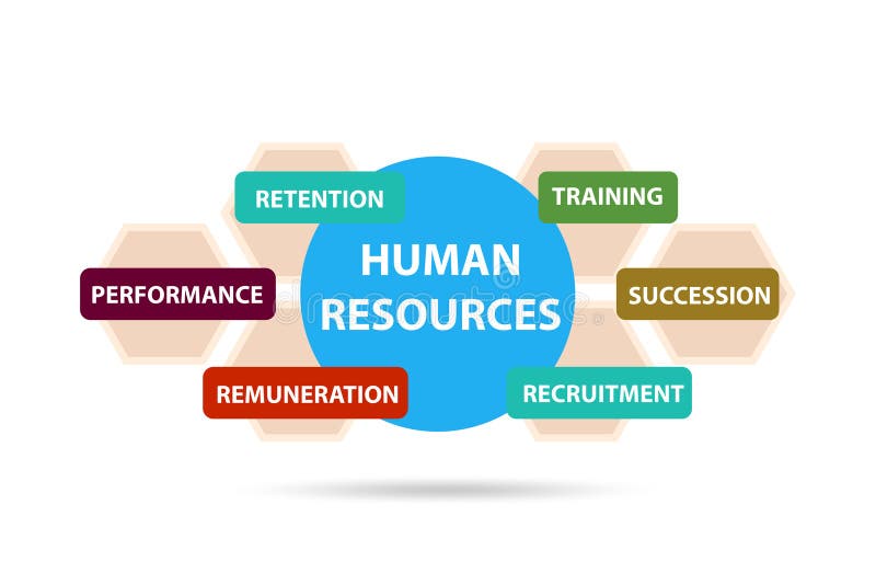 Human Resources Concept As Important Business Element Stock ...