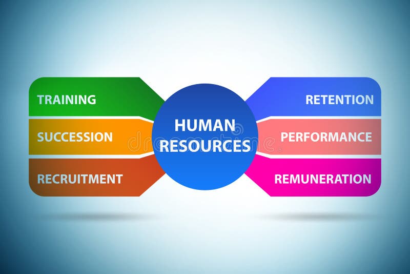 Human Resources Concept As Important Business Element Stock ...