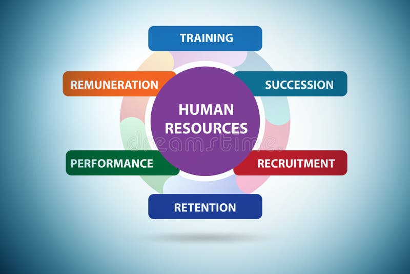 Human Resources Concept As Important Business Element Stock ...