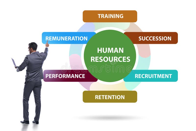 Human Resources Concept As Important Business Element Stock Photo ...