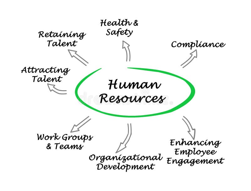 Human Resources Goals stock illustration. Illustration of employee ...