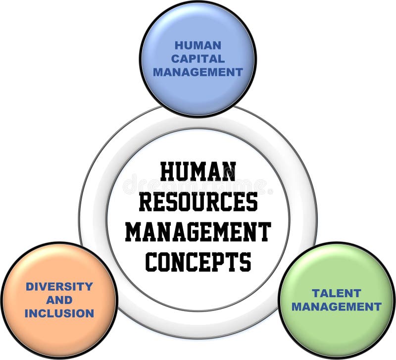Human Resources Management stock illustration. Illustration of success - 365132170