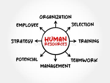 Human Resources Mind Map Stock Photos - Free & Royalty-Free Stock ...