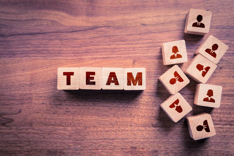 Human resources team stock photo. Image of team, professional - 113684348