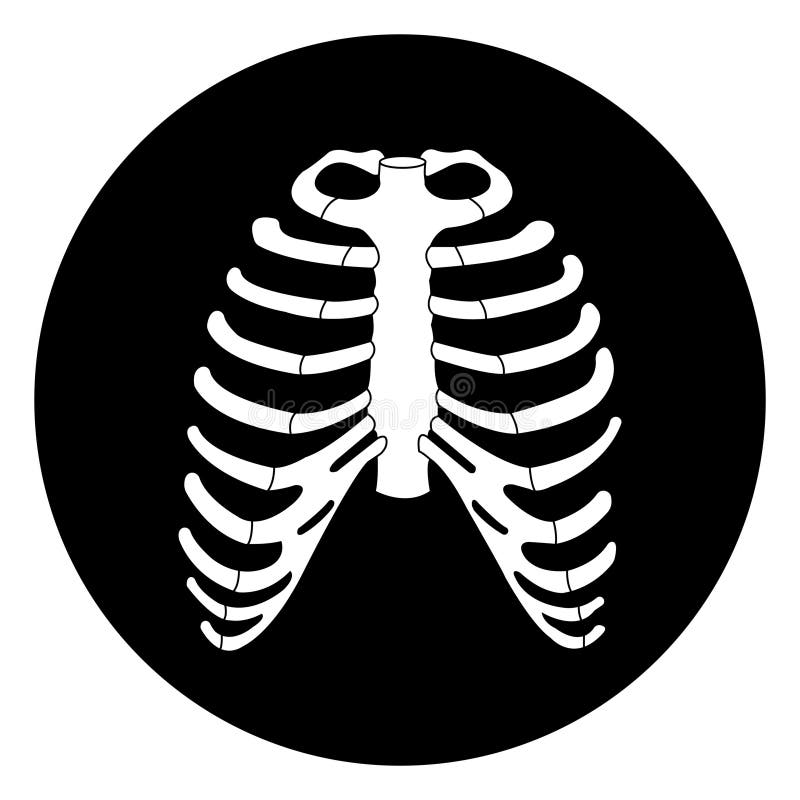 Human Ribs Outline Stock Illustrations – 168 Human Ribs Outline Stock ...