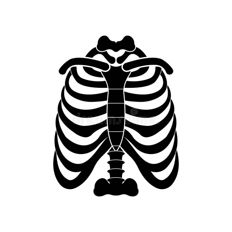Human Ribs Stock Illustrations – 3,334 Human Ribs Stock Illustrations ...
