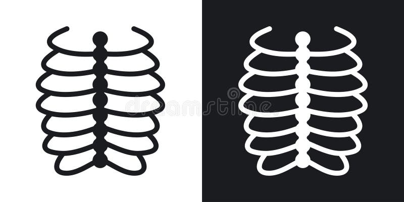 Human Body Ribs Graphic Stock Illustrations – 1,038 Human Body Ribs ...