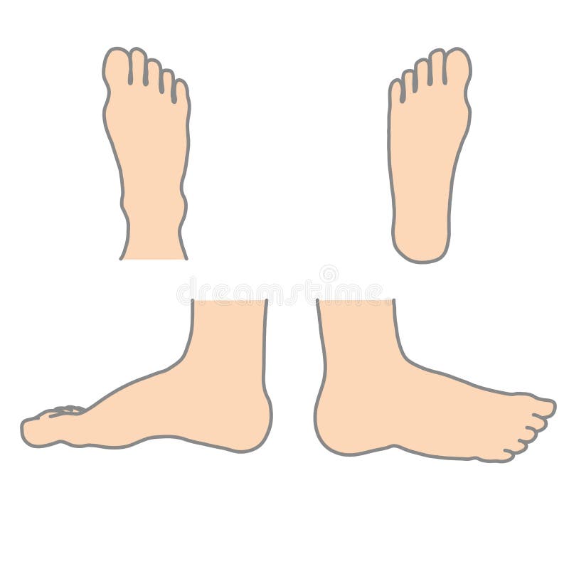 Human Foot Top Stock Illustrations – 377 Human Foot Top Stock ...