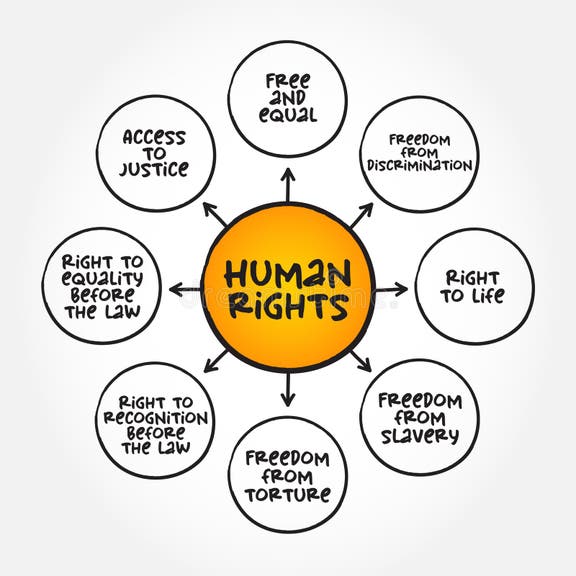 Human Rights are Moral Principles or Norms for Certain Standards of ...