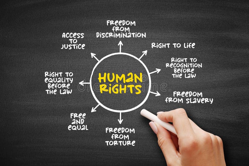 Human Rights Are Moral Principles Or Norms For Certain Standards Of