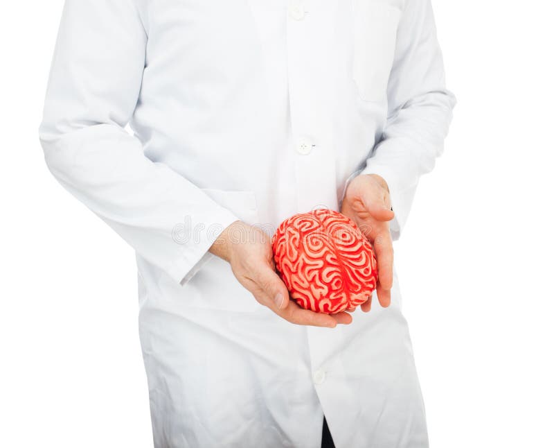 Human Rubber Brain between the Hands Stock Image - Image of away, human ...