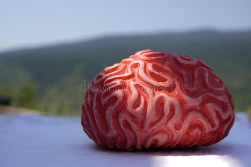 Human Rubber Brain with a Mountains Stock Photo - Image of psychology ...