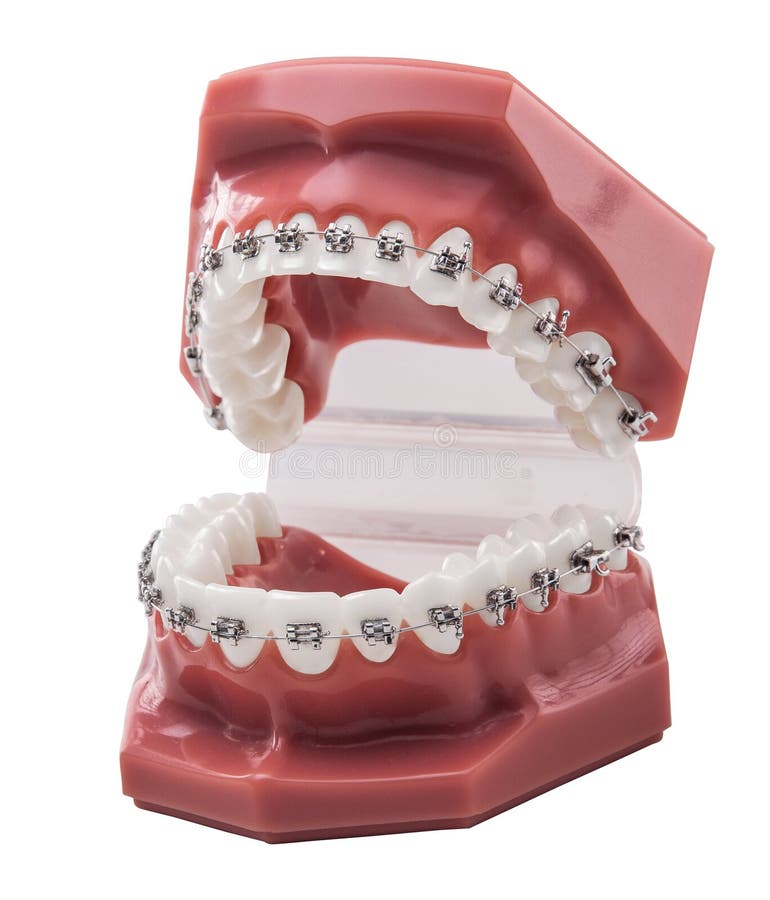 Human saw stock photo. Image of bihind, pretty, christmas - 63880266