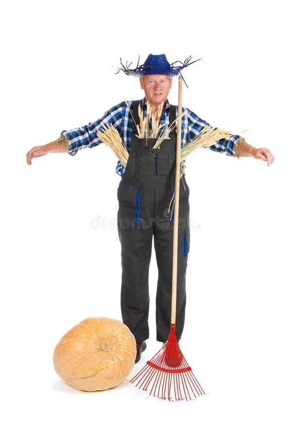 Human scarecrow stock image. Image of isolated, acting - 26459139