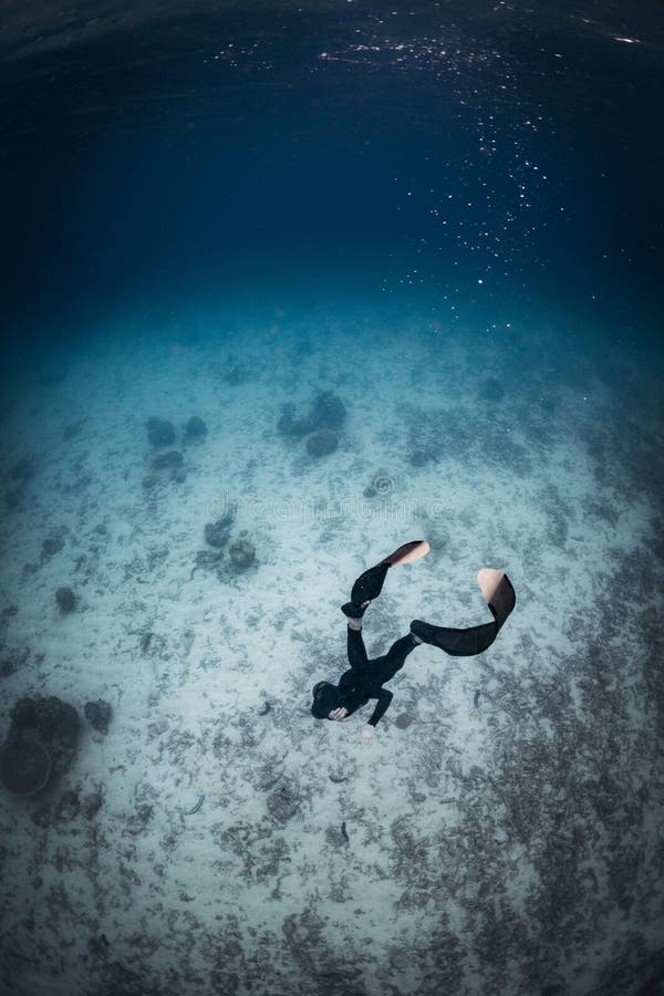 Human during Scuba Diving in Ocean Stock Image - Image of vertical ...