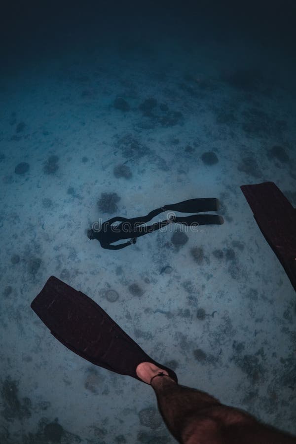 Human during Scuba Diving in Ocean Stock Image - Image of vertical ...