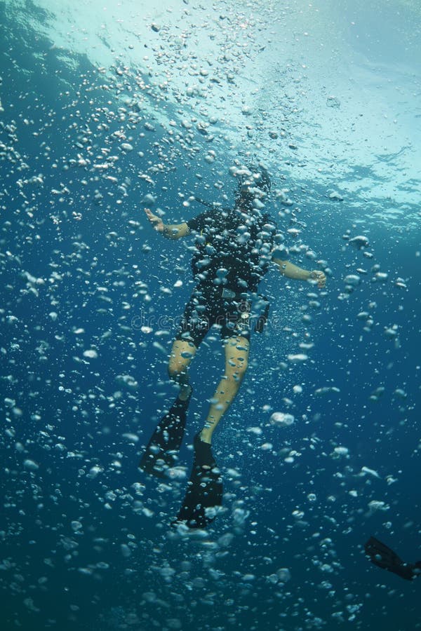 Human during Scuba Diving in Ocean Stock Photo - Image of travel, fresh ...