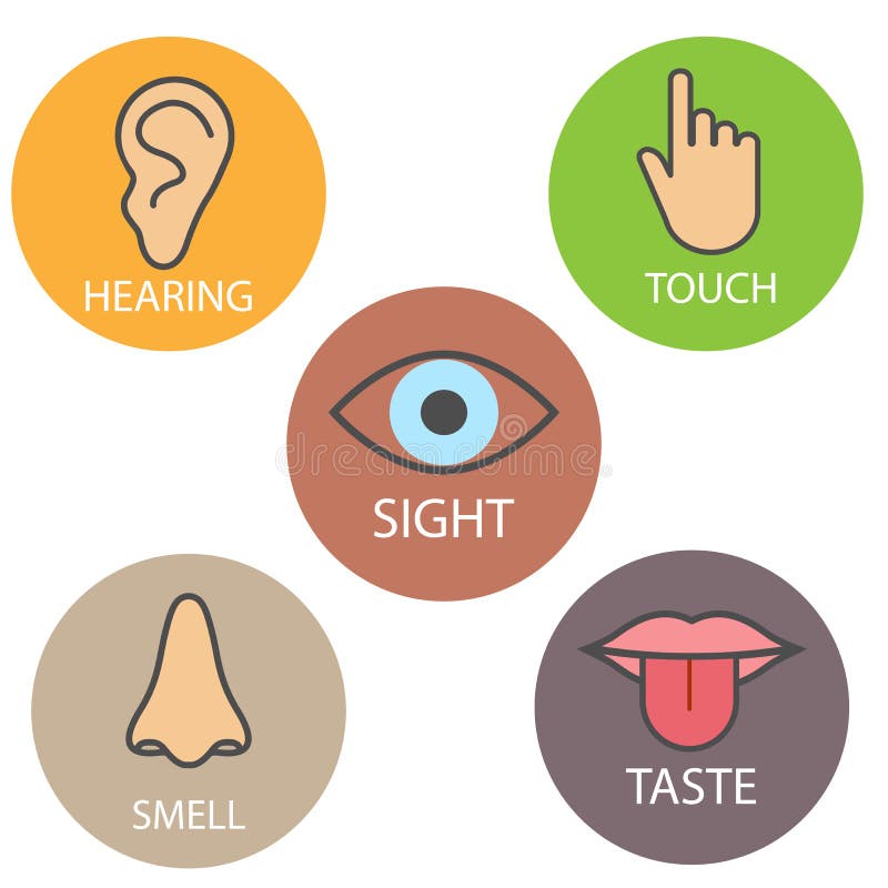 Human Senses Icon. Vector Illustration, Flat Design Stock Illustration ...