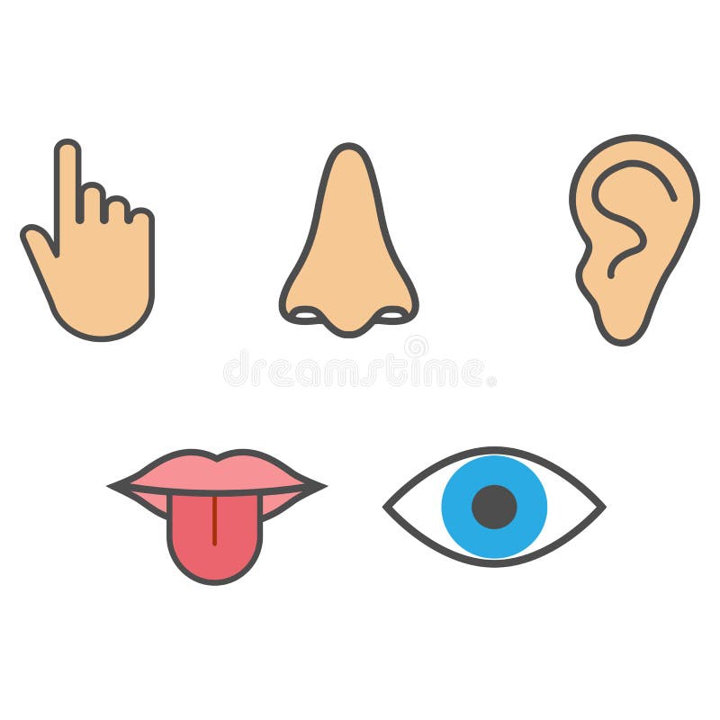 Human Senses Icon. Vector Illustration, Flat Design Stock Illustration ...