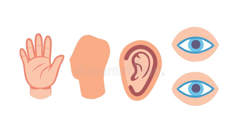 Human Senses Perception Icon Set Vector Art, Vector Design Generative ...