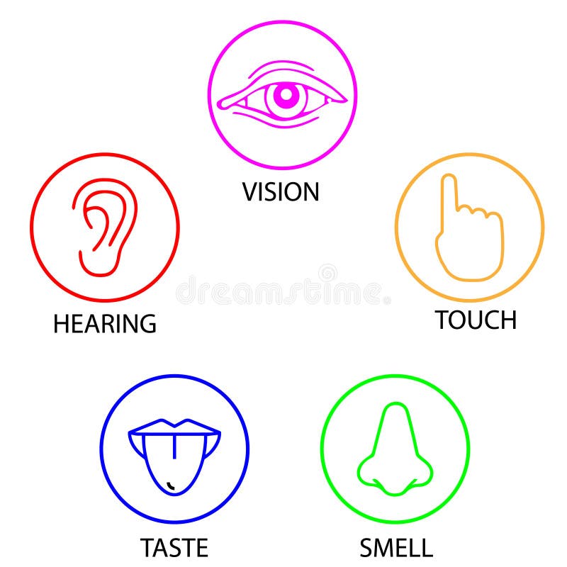 Set Of Five Human Senses Icon: Vision, Hearing, Smell, Hearing, Touch ...