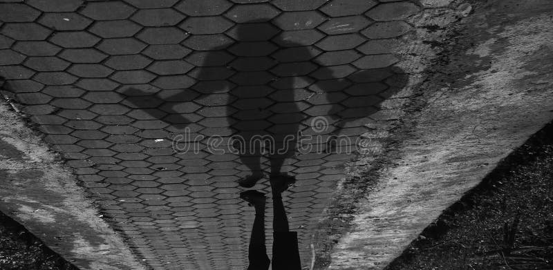 Human Shadow 1 stock photo. Image of figure, contrast - 309619056