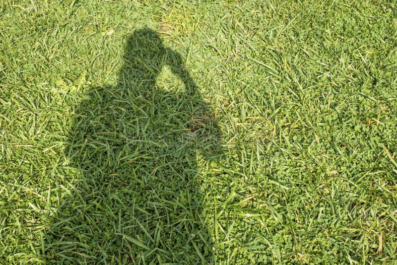Shadow on grass stock image. Image of farm, forest, meadow - 2309163