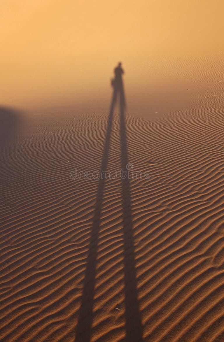 891 Shadow Trophy Stock Photos - Free & Royalty-Free Stock Photos from ...