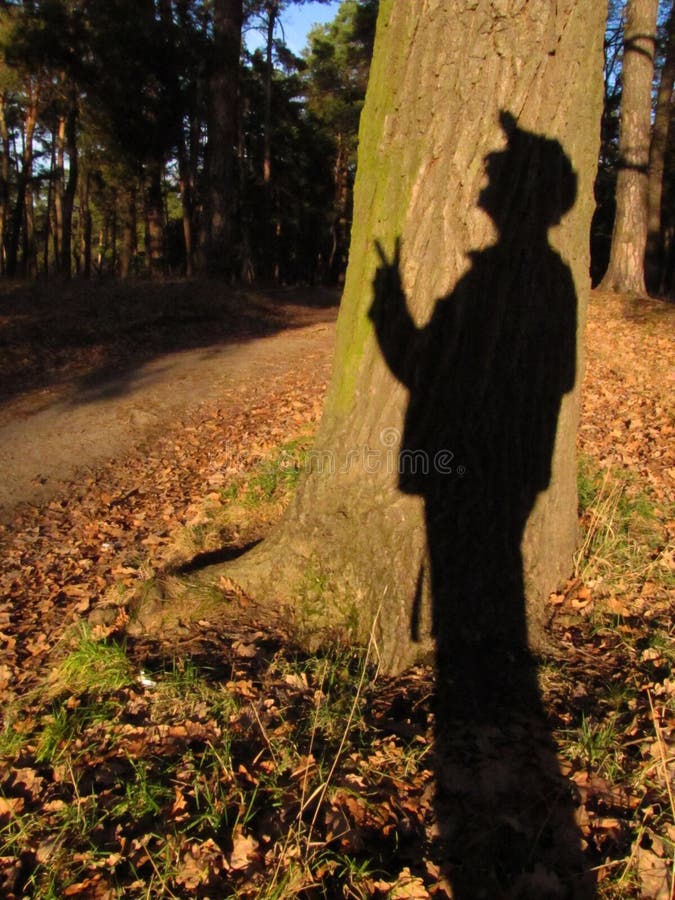 Human shadow on a tree stock image. Image of ukraine - 252499265