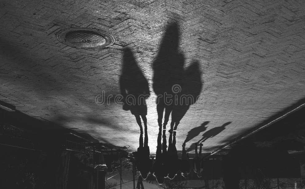 Human shadows stock photo. Image of ground, people, colleague - 179350802
