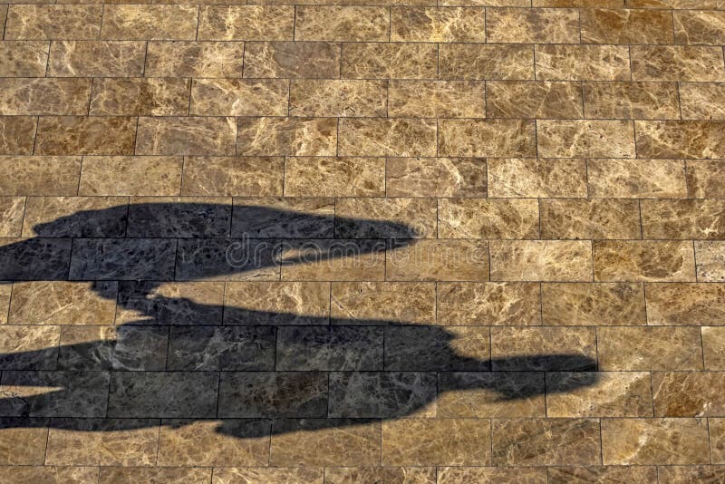 Human Shadows on the Ground Stock Photo - Image of body, male: 165620524