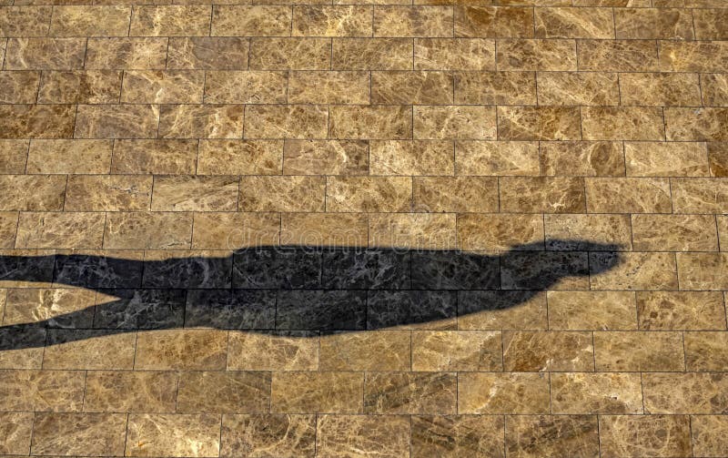 Human Shadows on the Ground Stock Photo - Image of fantasy, light ...