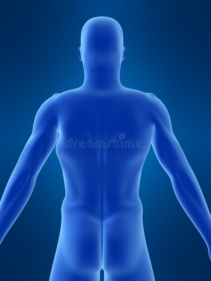 Human shape stock illustration. Illustration of organism - 2094976