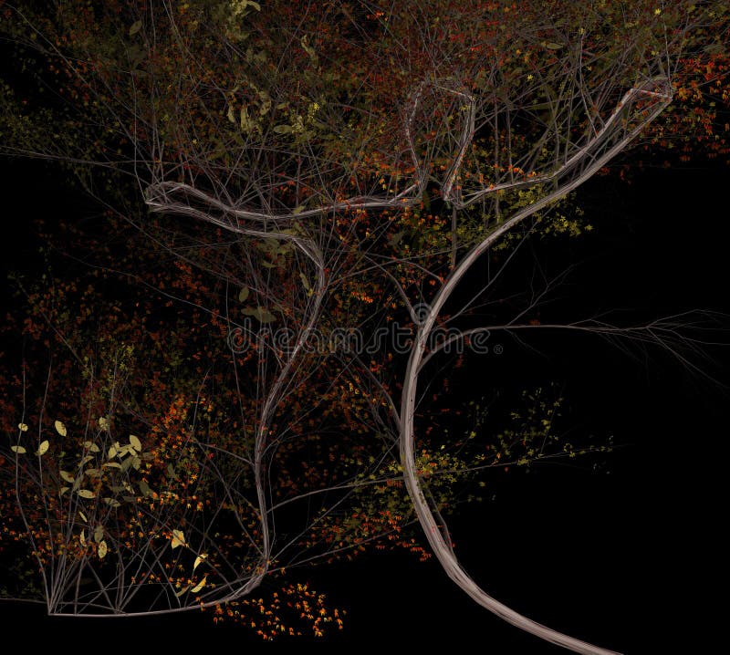 Human Shaped Tree Growing in Fall 3d Illustration Stock Illustration ...