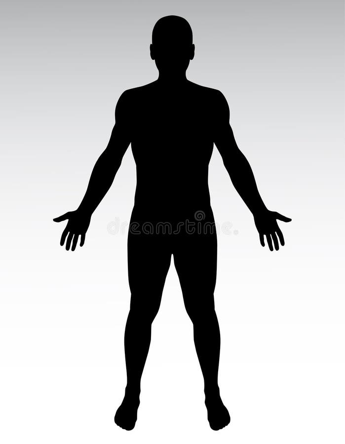 Human silhouette. stock vector. Illustration of black - 47607240