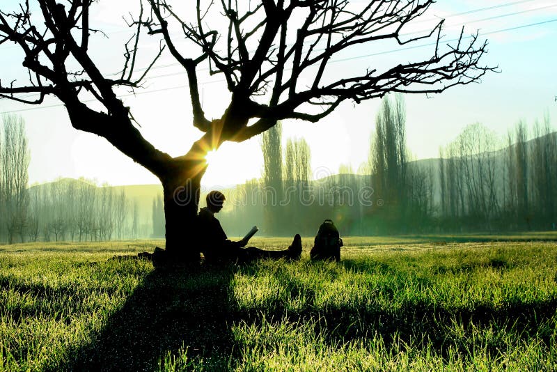 Human Silhouette Reading a Book Under a Tree Stock Image - Image of ...